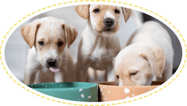 Our Process - Sahara InnoTech