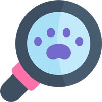 Our Process - Sahara InnoTech